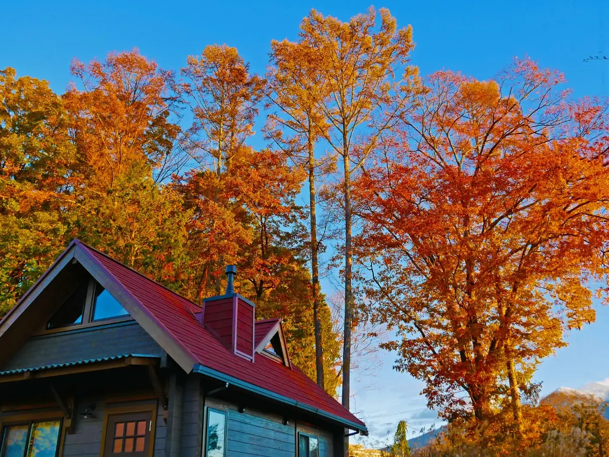 kobuchisawa SEKKI【公式サイト】